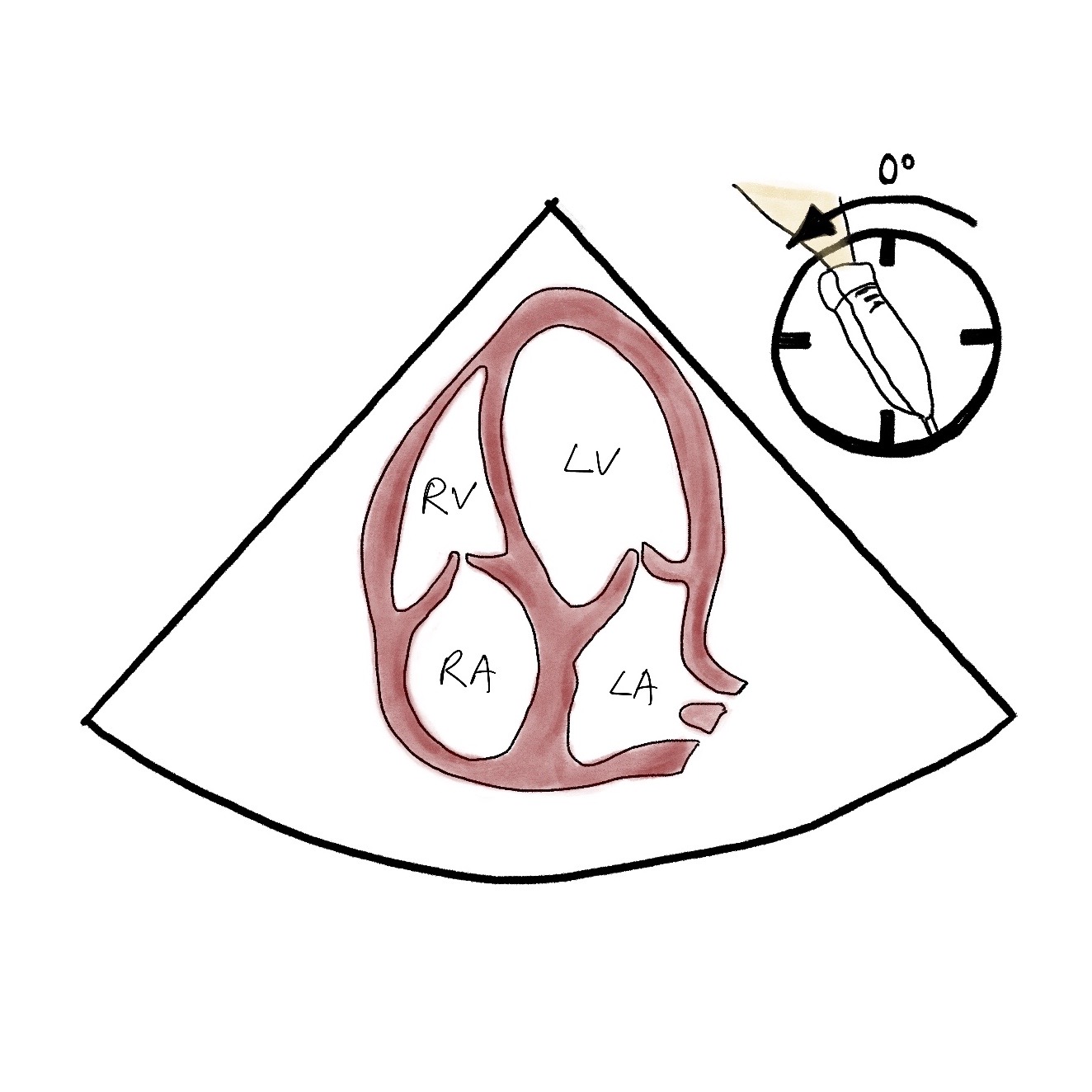 台灣急診醫學會 - 台灣急診醫學通訊