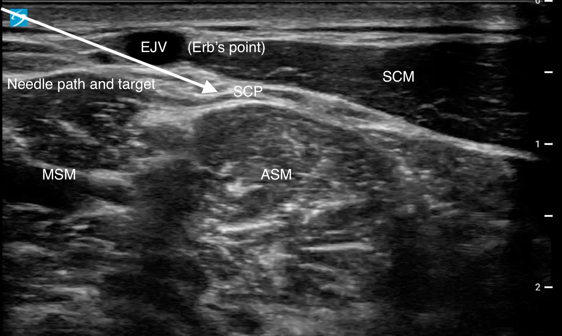 台灣急診醫學會 - 台灣急診醫學通訊