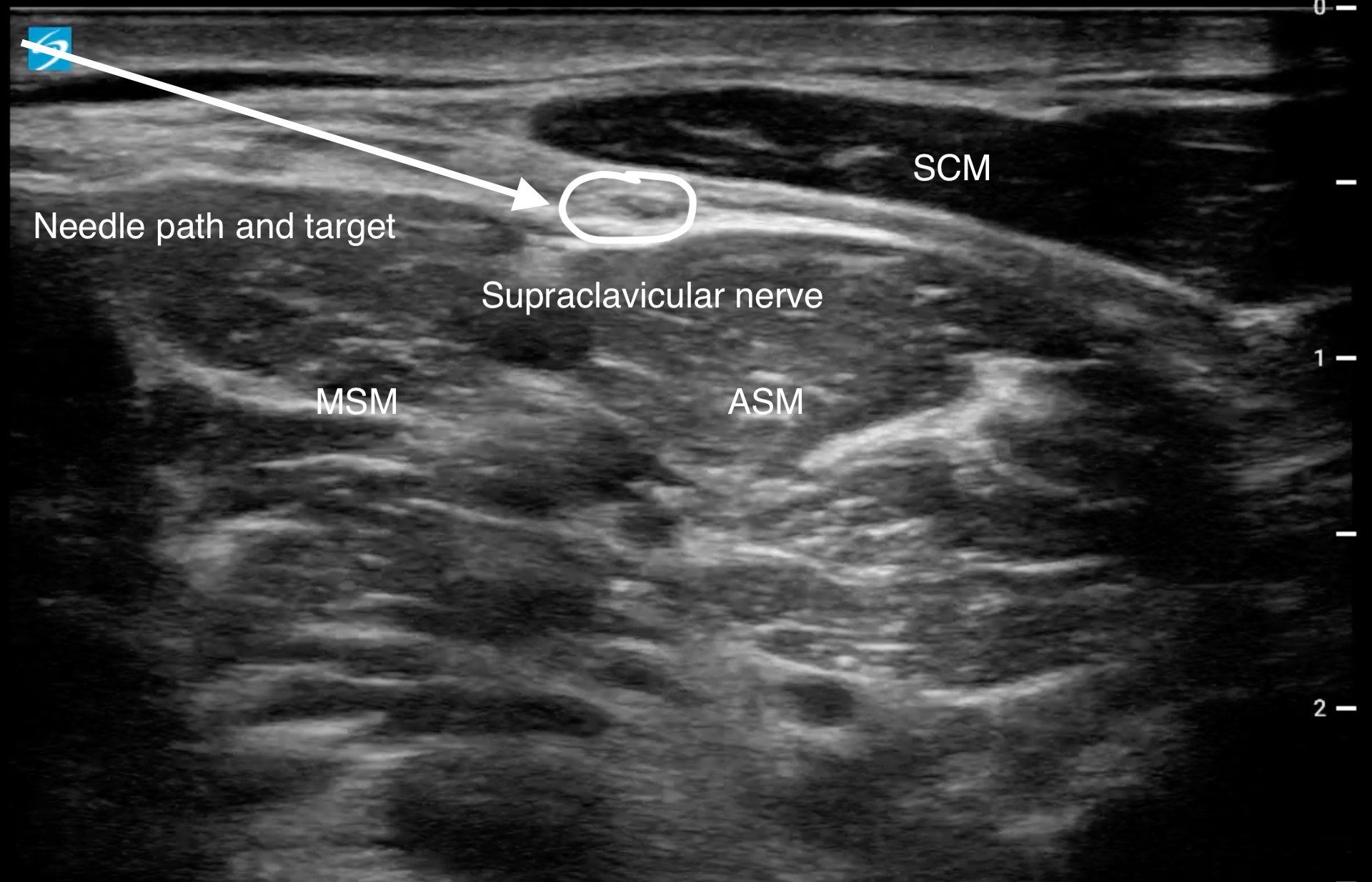 台灣急診醫學會 - 台灣急診醫學通訊