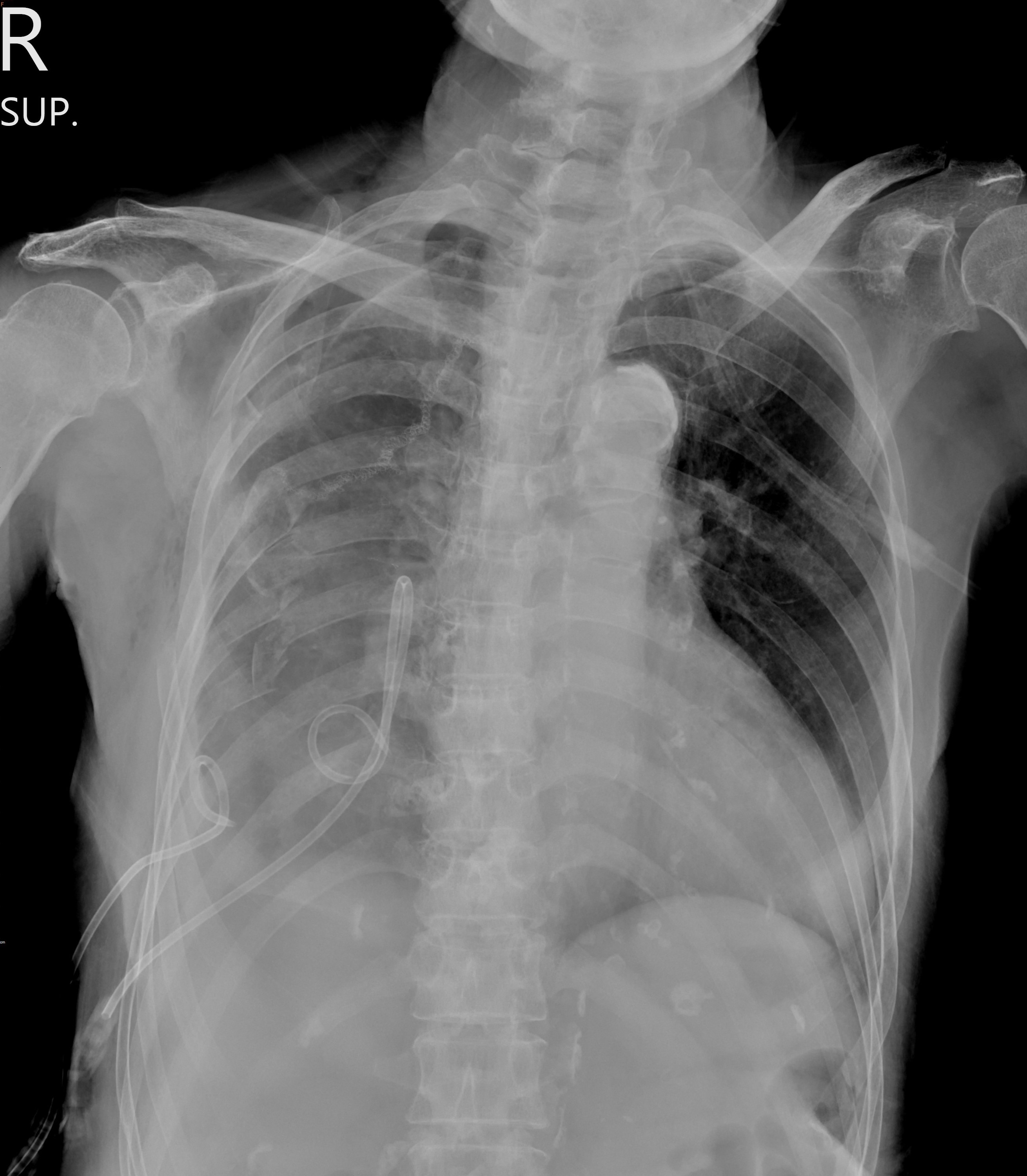 台灣急診醫學會 - 台灣急診醫學通訊